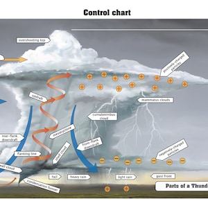 Parts of a Thunderstorm Puzzle With Nomenclature Cards (6-9 ...