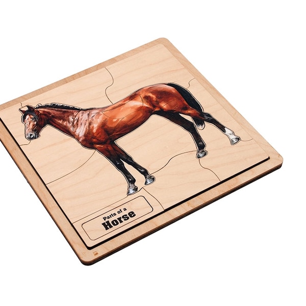 Parts of a Horse Montessori - Etsy