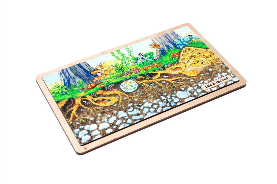 Life in the Soil Puzzle With Nomenclature Cards (6-9) (printed ...