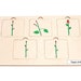 Types of Buds Puzzle | Montessori Materials | Montessori Botany ...