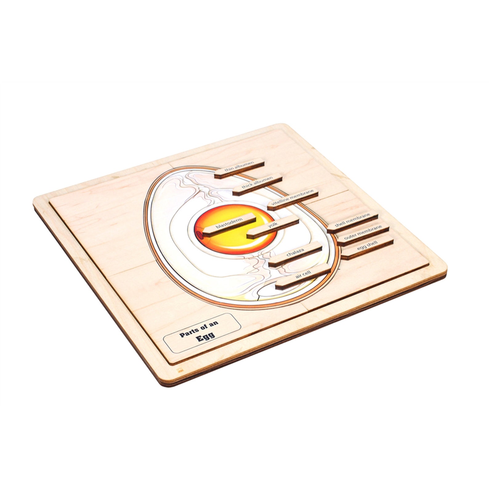 Montessori Parts of an Egg Puzzle | Chicken Egg Puzzle | Chicken Puzzle ...
