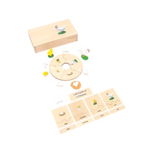 Life Cycle Set of a Chicken - Montessori Life Cycle - Chicken Life ...
