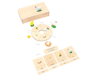Montessori Life Cycle of A Chicken 5 Parts Cards With - Etsy