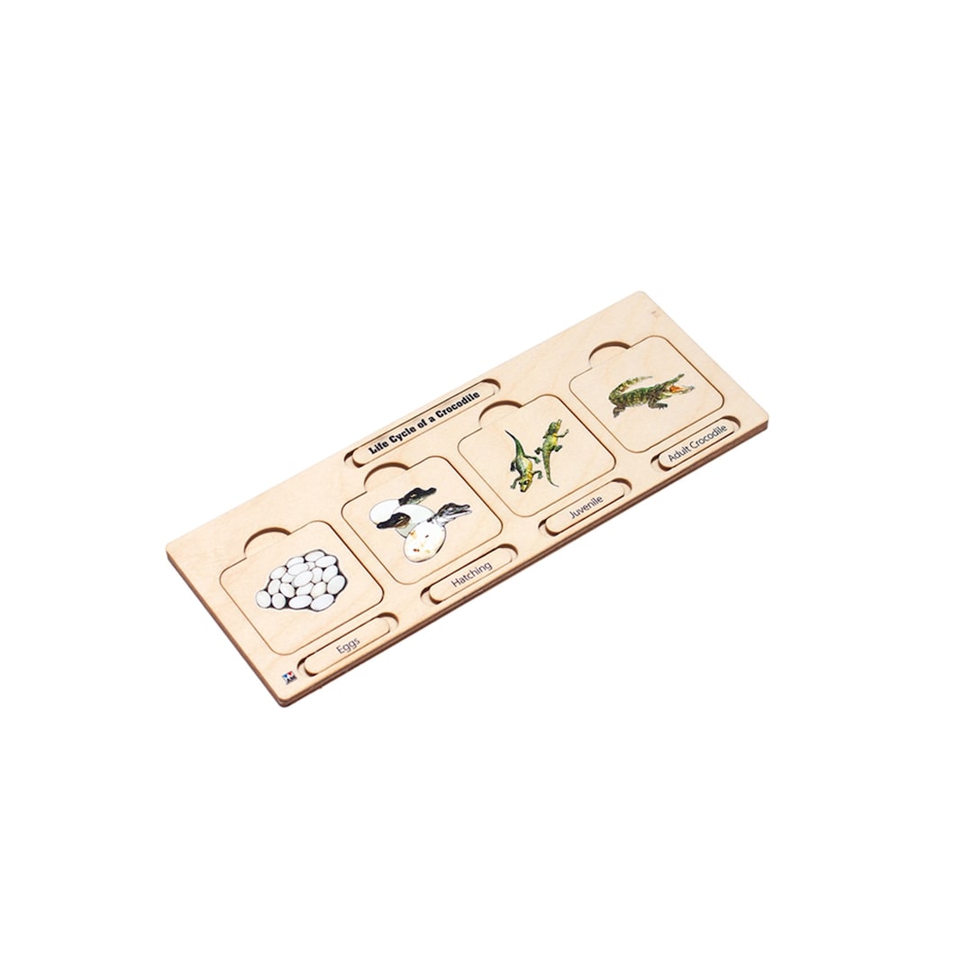 Wooden Life Cycle of a Crocodile Puzzle | Montessori Life Cycle ...