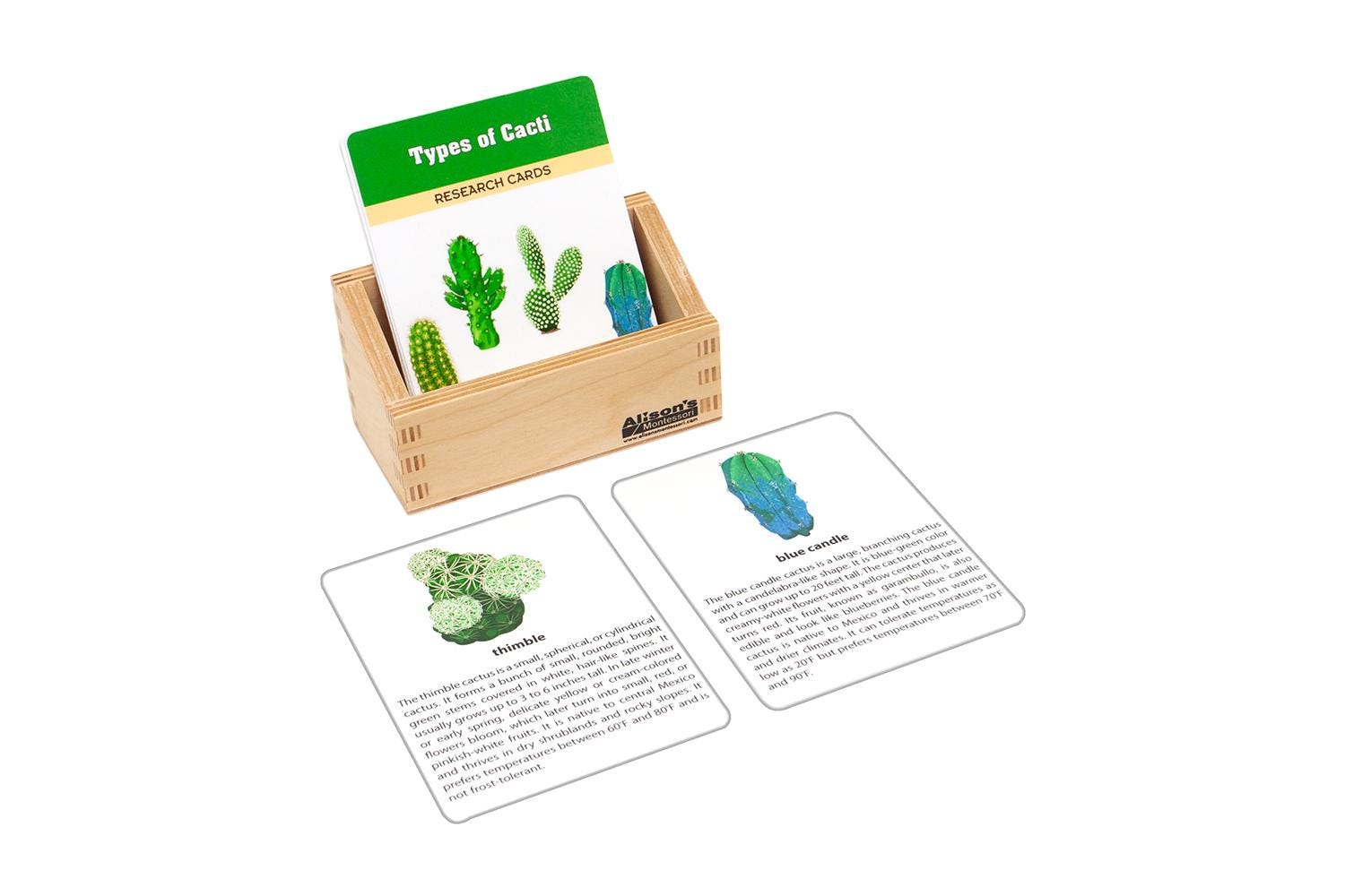Types of Cacti Wooden Puzzle & Research Card Set – Montessori Botany ...