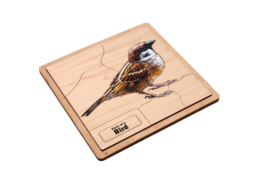 Parts of a Bird Puzzle With Nomenclature Cards (6-9) | Montessori ...