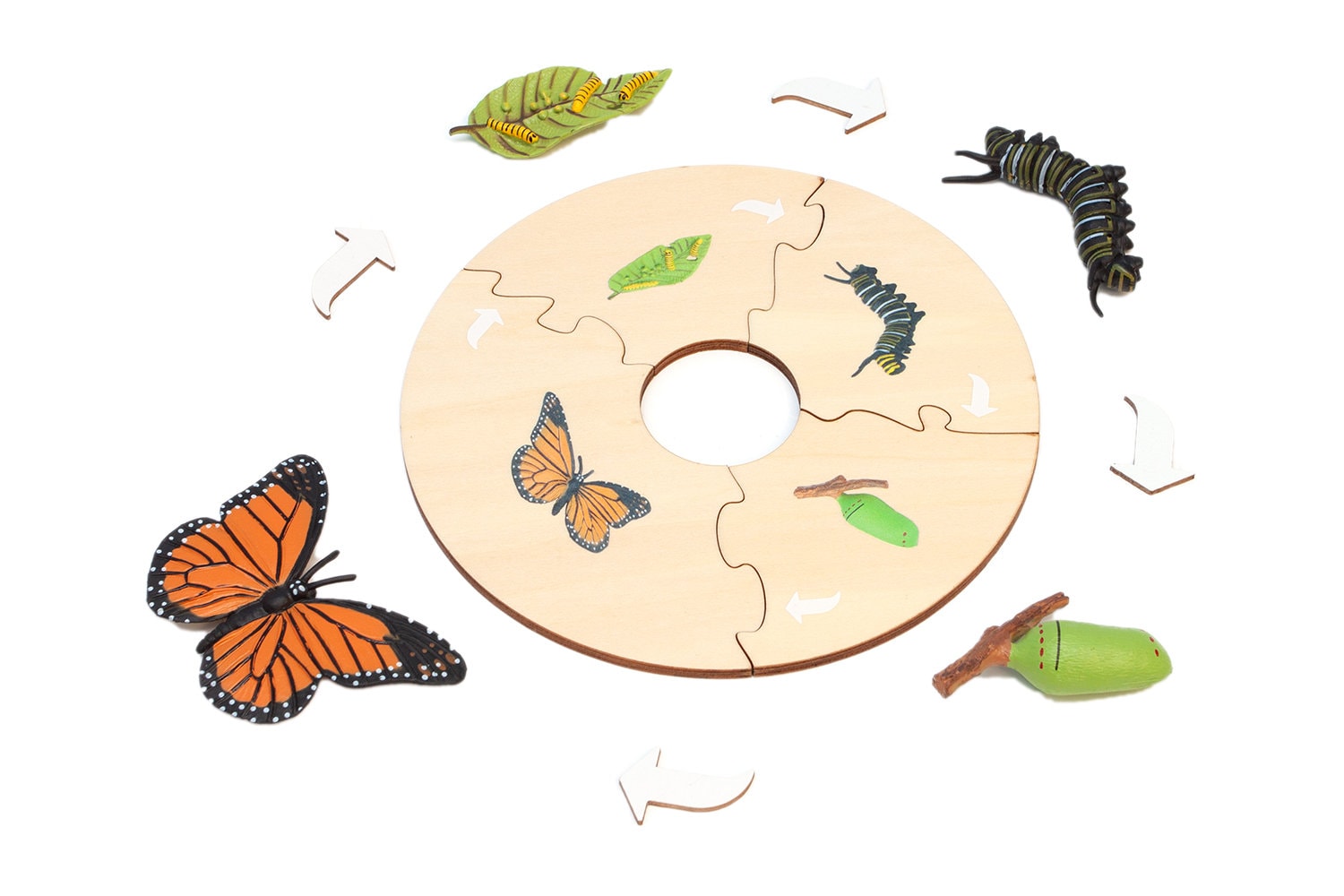 Life Cycle Set of a Butterfly - Montessori Life Cycle - Butterfly Life ...