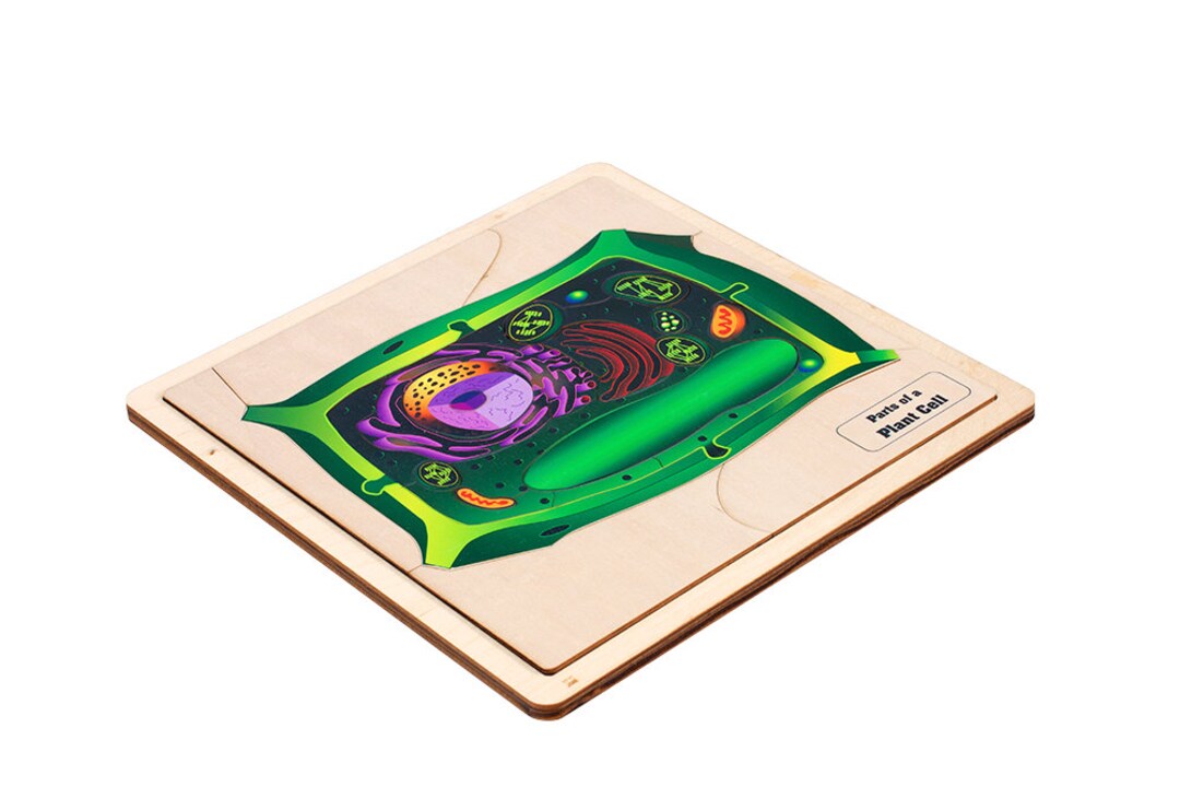 Parts of a Plant Cell Puzzle With Nomenclature Cards (3-6) | Montessori ...