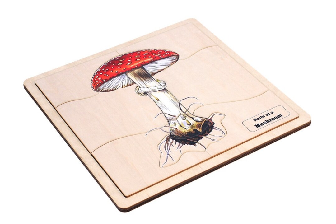 Parts of a Mushroom Puzzle With Nomenclature Cards (6-9) | Montessori ...