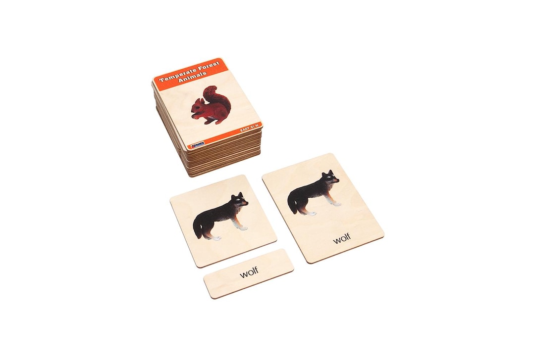 Temperate Forest Animals Wooden Nomenclature Cards | Montessori ...