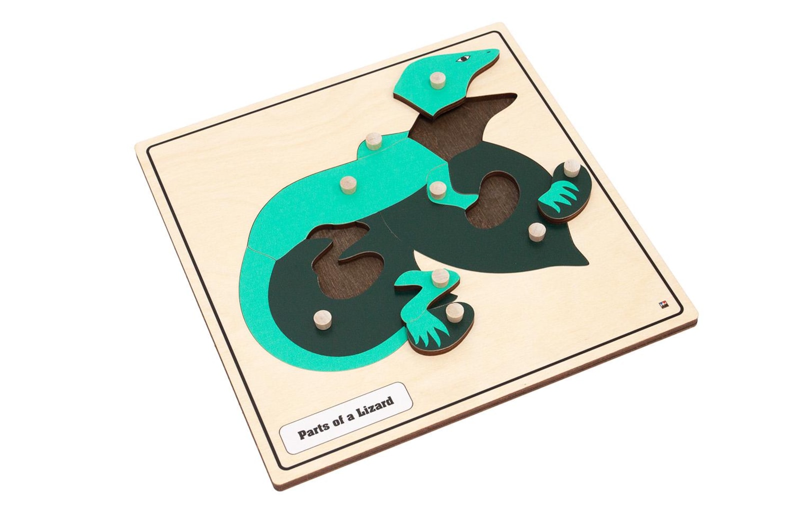 Parts of a Lizard Knobbed Puzzle | Montessori Puzzle | Infant & Toddler ...