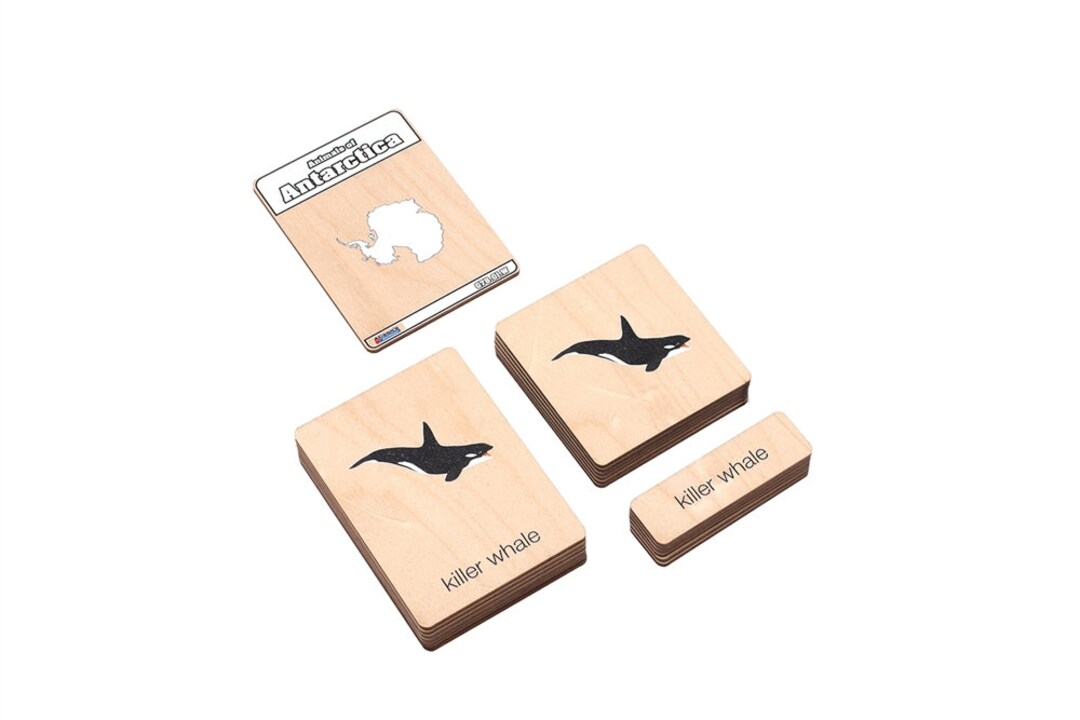 Animals of Antarctica Wooden Nomenclature Cards | Montessori Primary ...