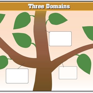 The Three Domains Chart Complete Set | Three Domains of Life | Alison's ...