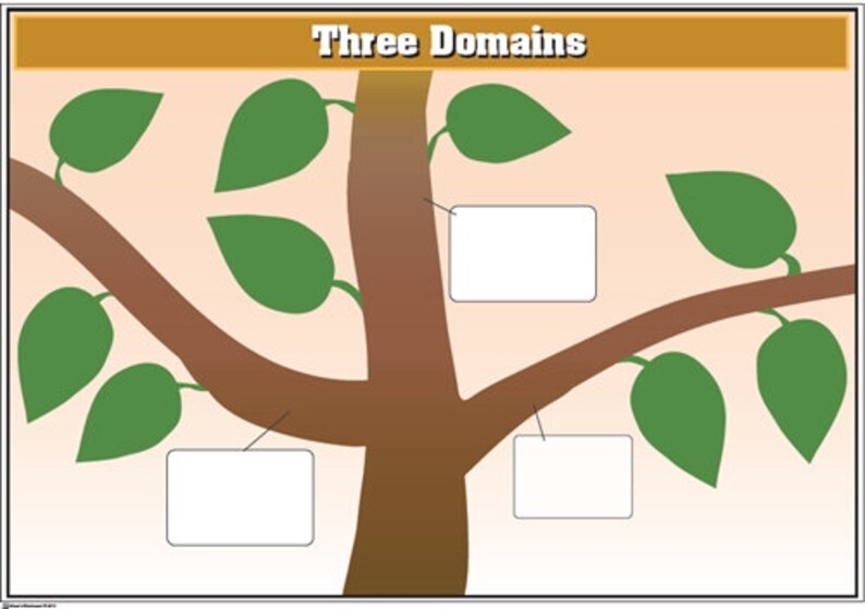 The Three Domains Chart Complete Set | Three Domains of Life | Alison's ...