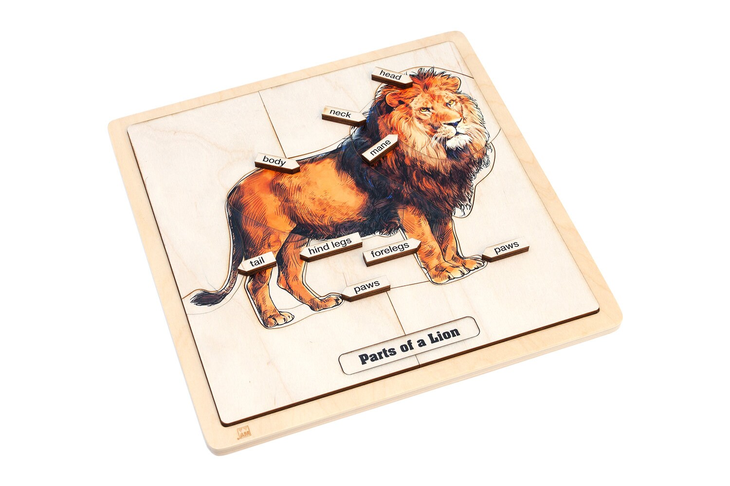 Parts of a Lion Puzzle | Montessori Materials | Montessori Zoology ...