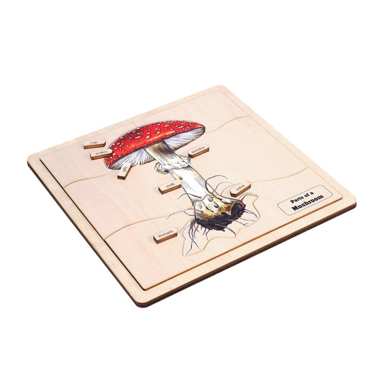 Montessori Parts of a Mushroom Puzzle Montessori Botany - Etsy