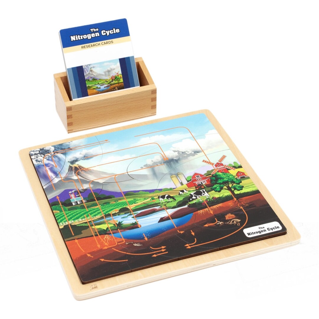 The Nitrogen Cycle - Complete Set | Montessori Materials | Montessori ...