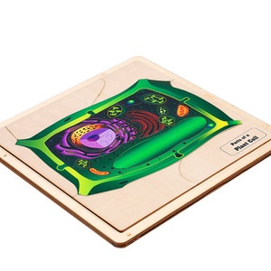 Parts of a Plant Cell Puzzle With Nomenclature Cards (6-9) | Montessori ...