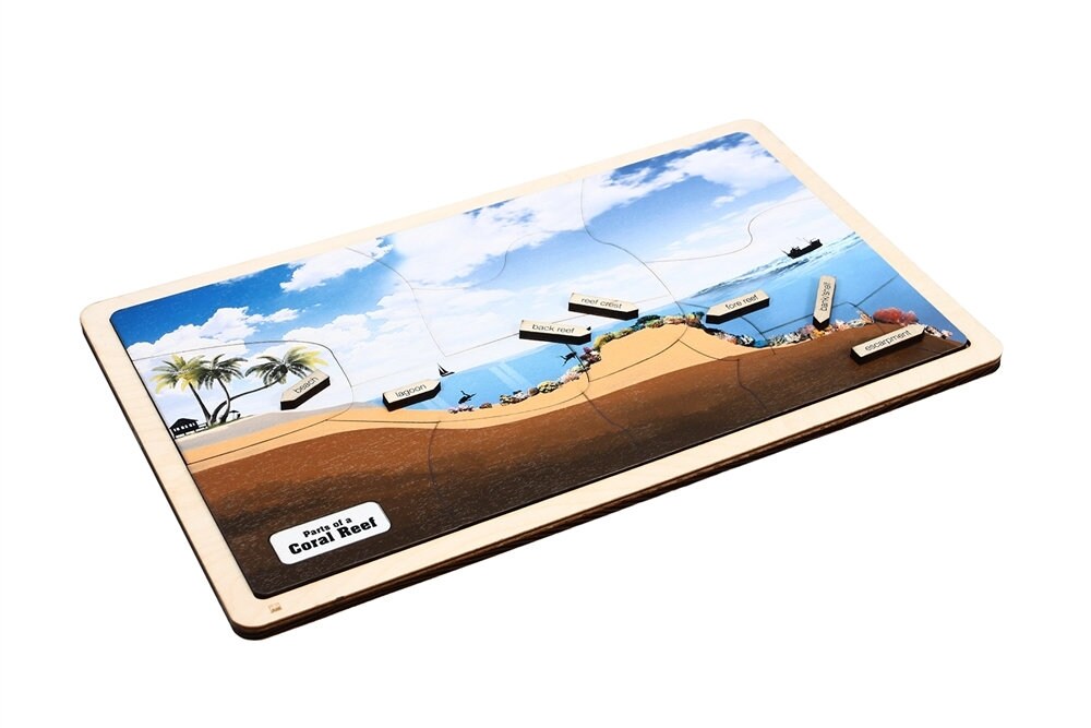 Parts of a Coral Reef Puzzle With Nomenclature Cards 3-6 | Montessori ...