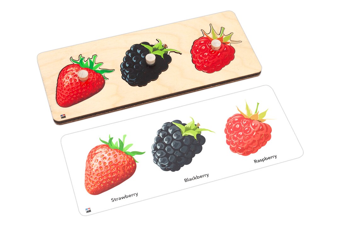 Berries Puzzle | Montessori Materials | Infant and Toddler | Early ...