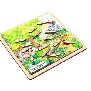 Temperate Deciduous Forest Biome Puzzle | Forest Biomes | Forest ...