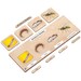 Life Cycle of a Bee | Life Cycle Set: Bee | Montessori Puzzles ...