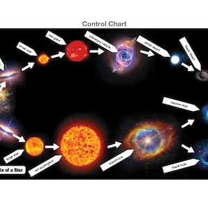 Life Cycle of a Star Puzzle With Nomenclature Cards (6-9) | Montessori ...