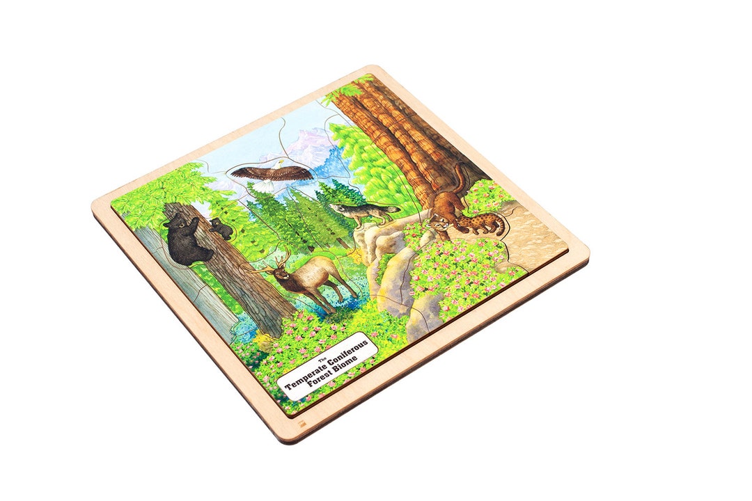 Temperate Coniferous Forest Biome Puzzle | Montessori Materials | Study ...