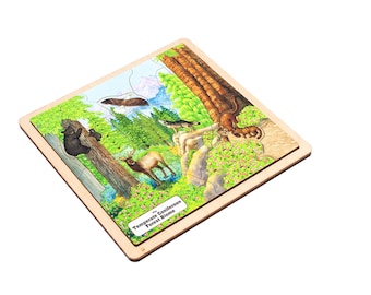 PARTS of a WASP Montessori Wood Puzzle Biology Insects - Etsy