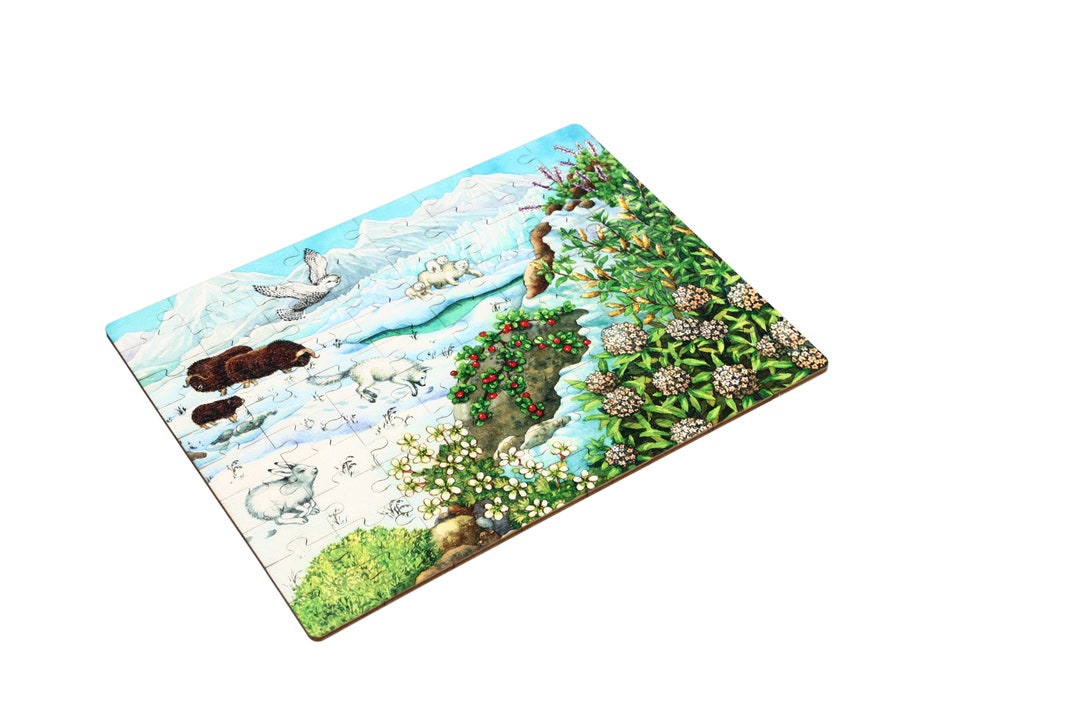 Polar Biome - Jigsaw Puzzle | Montessori Wooden Puzzles | Study of ...