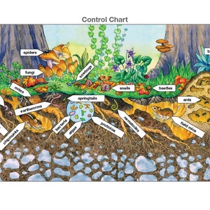 Life in the Soil Puzzle With Nomenclature Cards (6-9) (printed ...