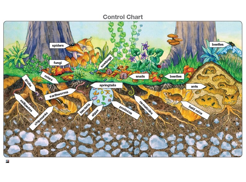Life in the Soil Puzzle With Nomenclature Cards (6-9) (printed ...