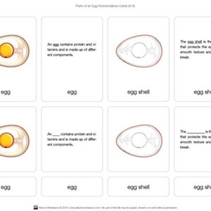 Parts of an Egg Nomenclature Puzzle and Nomenclature Cards (6-9 ...