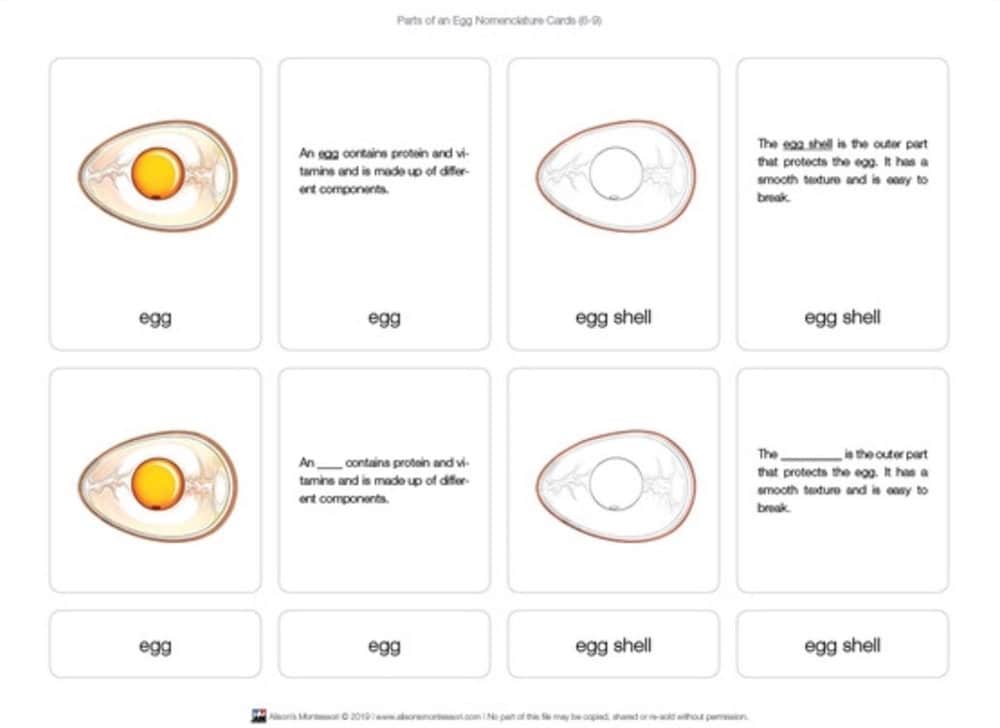 Parts of an Egg Nomenclature Puzzle and Nomenclature Cards 6-9 ...