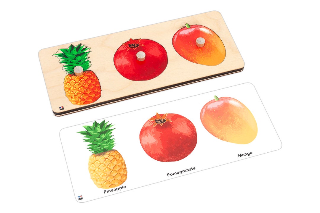 Tropical Fruits Puzzle | Montessori Materials | Infant and Toddler ...