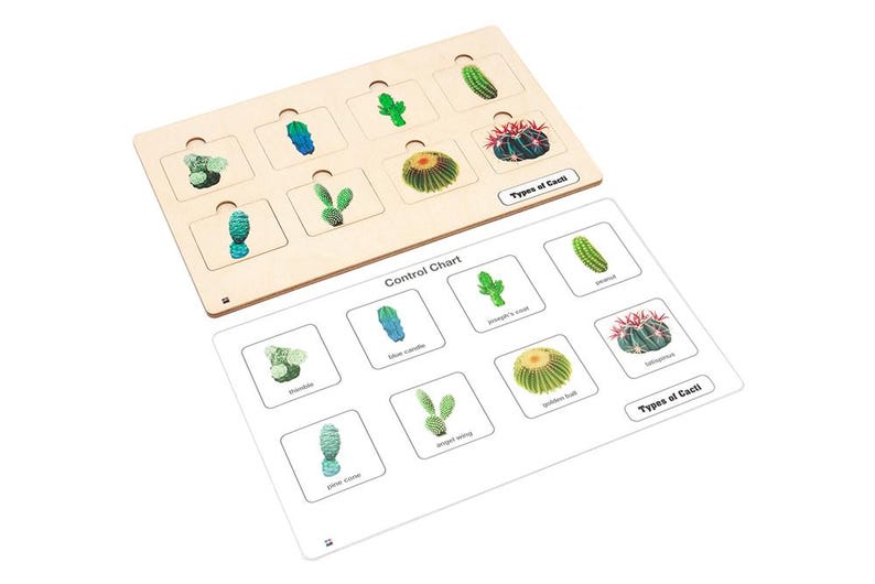 Types of Cacti Wooden Puzzle – Montessori Botany Material - Etsy