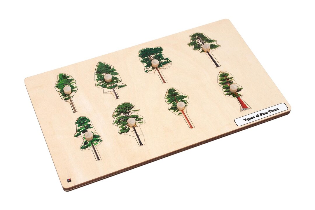 Types of Pine Trees Puzzle | Montessori Materials | Wooden Learning ...