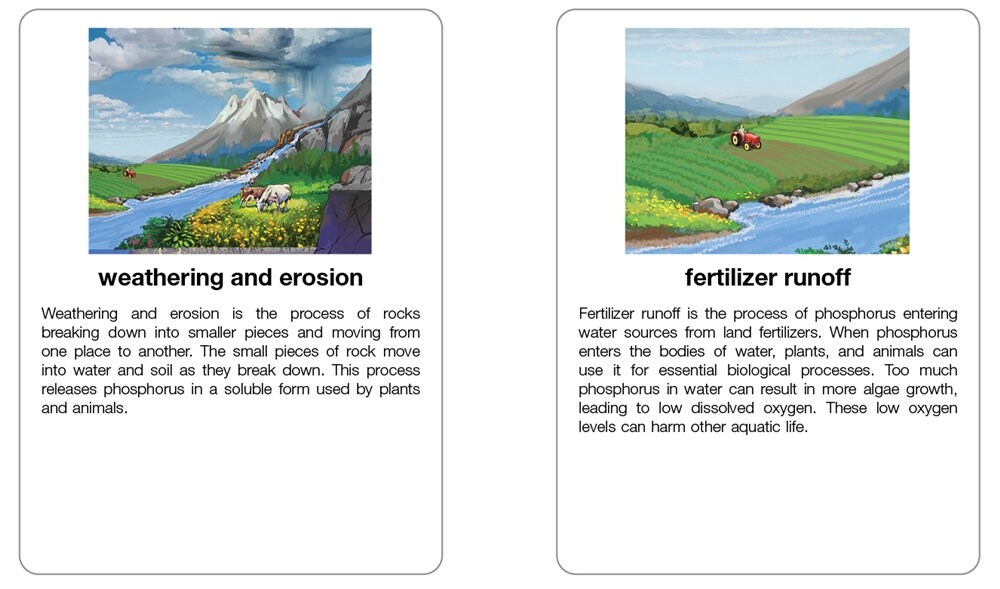 The Phosphorus Cycle - Complete Set | Montessori Material | Montessori ...