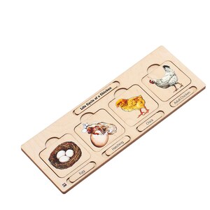 Montessori Wooden Chicken Life Cycle Puzzle: Educational Toy for ...