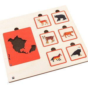 Continents and Their Animals Sorting Tiles | Animals of the World ...
