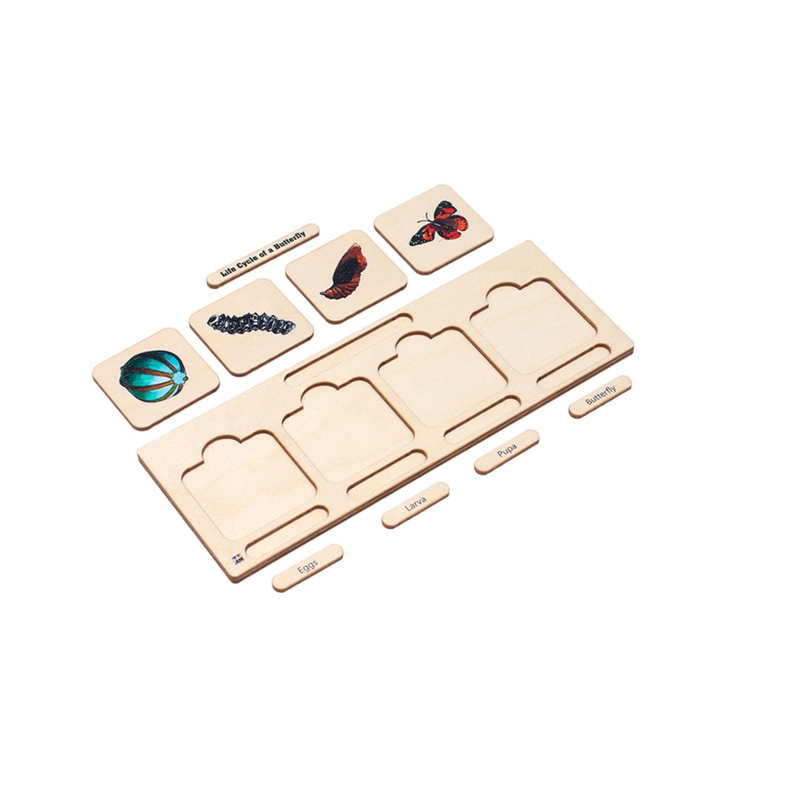 Wooden Life Cycle of a Butterfly Puzzle Life Cycle Learning Montessori ...