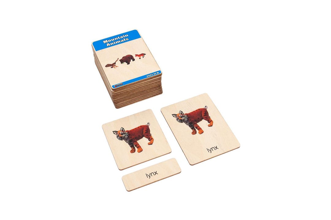 Mountain Animals Montessori Cards: Geography Nomenclature Three-part ...