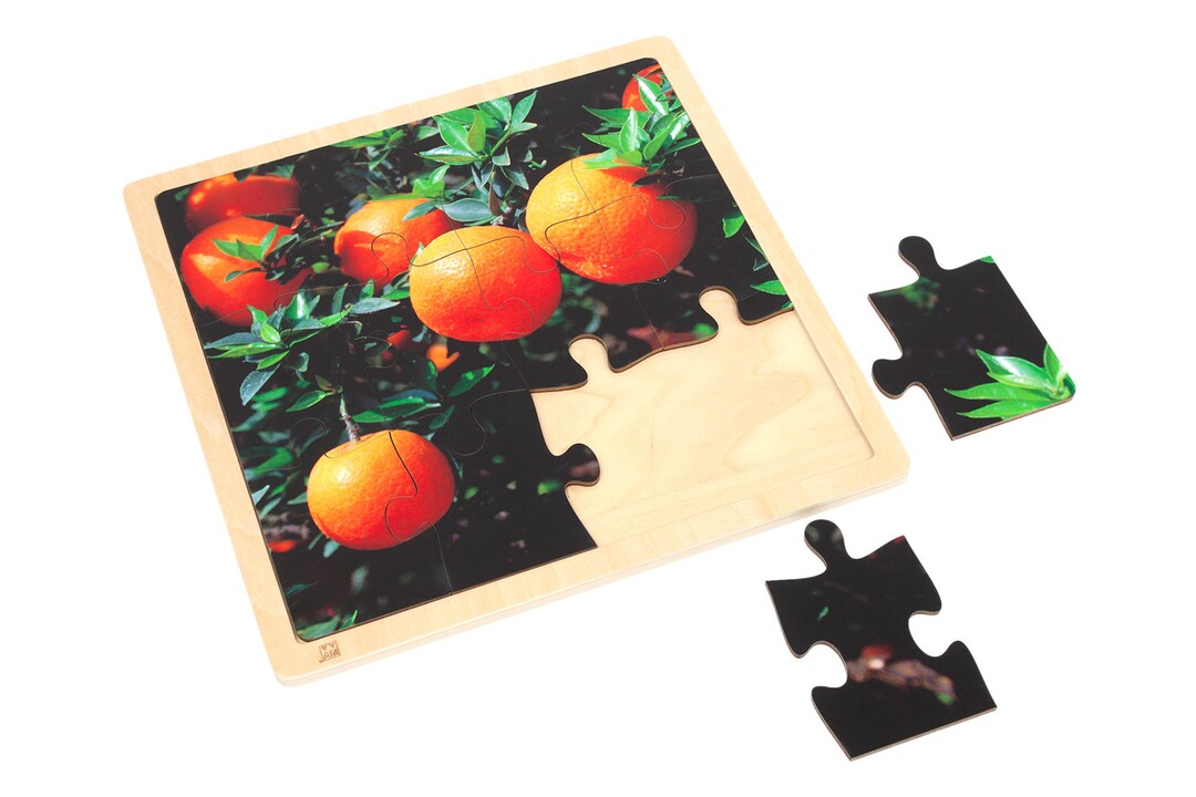Orange - Jigsaw Puzzle | Montessori Material | Jigsaw Puzzle | Problem ...