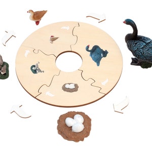 Life Cycle Set of a Swan - Montessori Life Cycle - Swan Life Cycle ...
