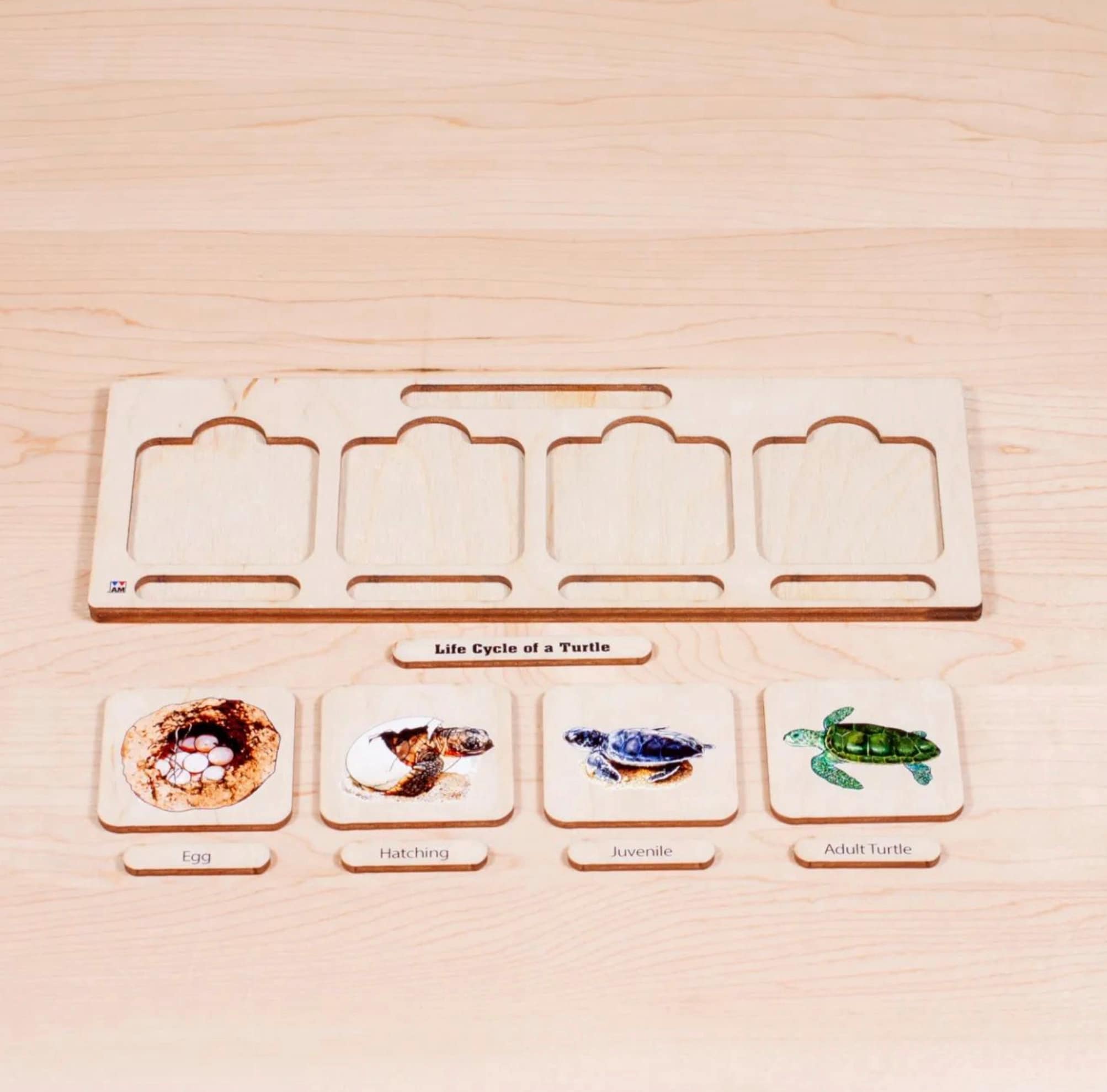Wooden Life Cycle of a Sea Turtle Puzzle Montessori Materials ...