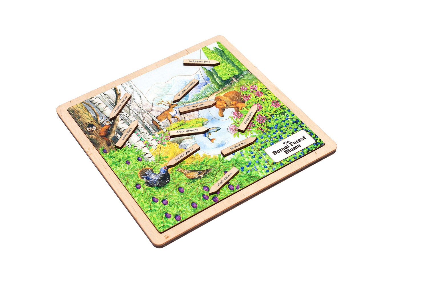 Boreal Forest Biome Puzzle Boreal Forest Forest Animal Habitat Study of ...