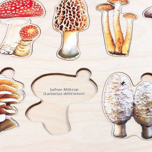 Types of Mushrooms Puzzle | Montessori Puzzles | Botany Puzzles ...