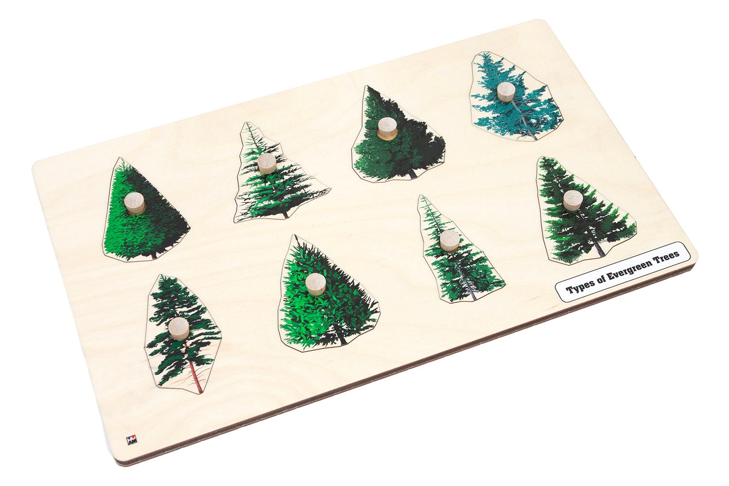 Types of Evergreen Trees Puzzle Montessori Materials Montessori Botany ...