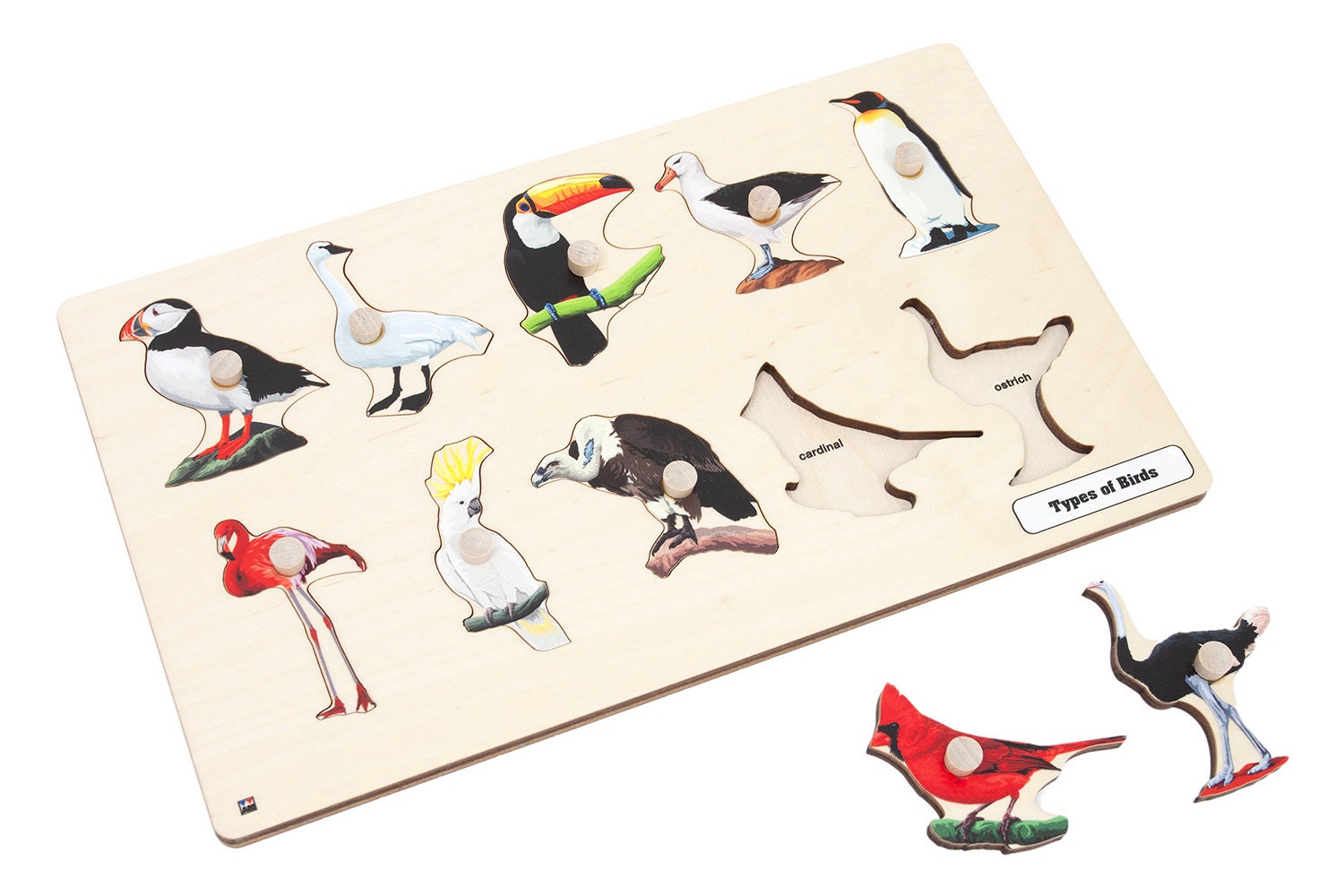 Types of Birds Puzzle Montessori Materials Montessori Zoology ...