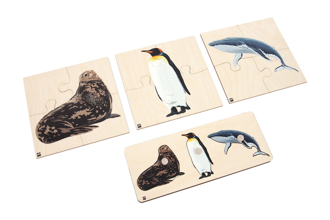 Animals of Antarctica: Puzzles Set | Montessori Materials | Infant and ...